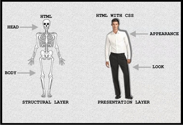 What is HTML? A Simple Guide for Website Builders | Nilead